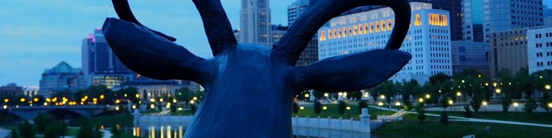 Odocoileus virginianus leveque