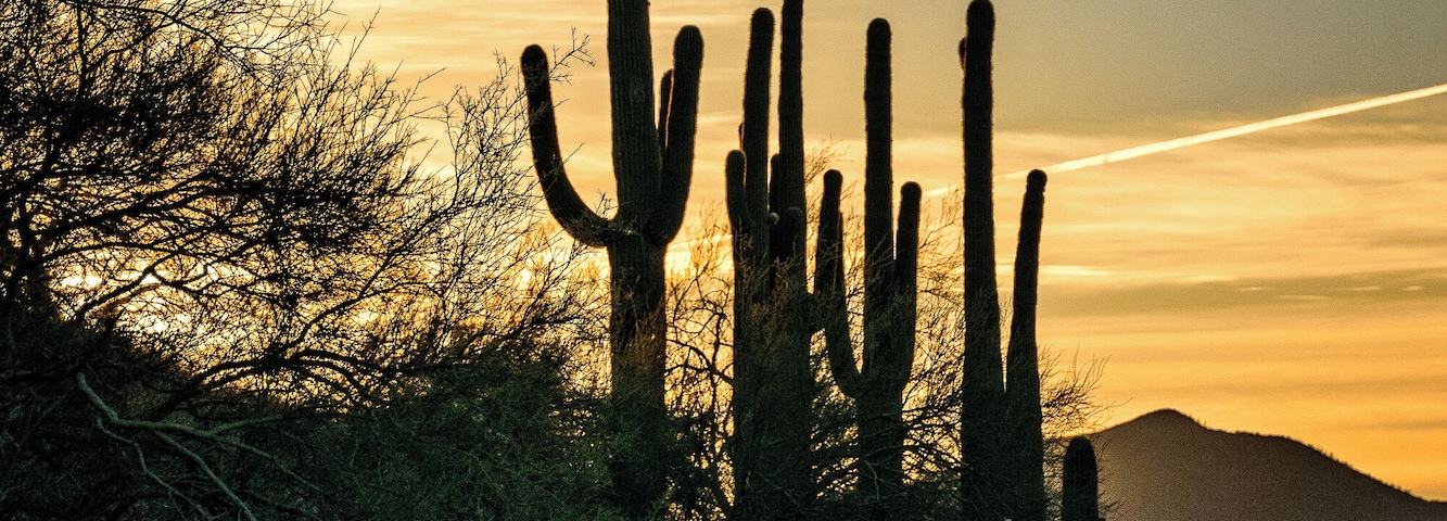 Mornings always make a great time for a hike and photo ops