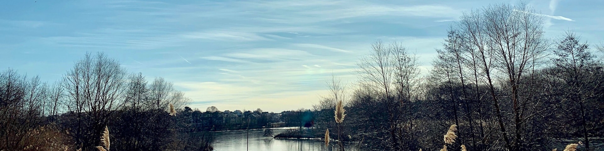 Cold but sunny
A day out stretching my lazy legs..... 🚶🏻♀️🚶🏻♀️🚶🏻♀️🚶🏻♀️