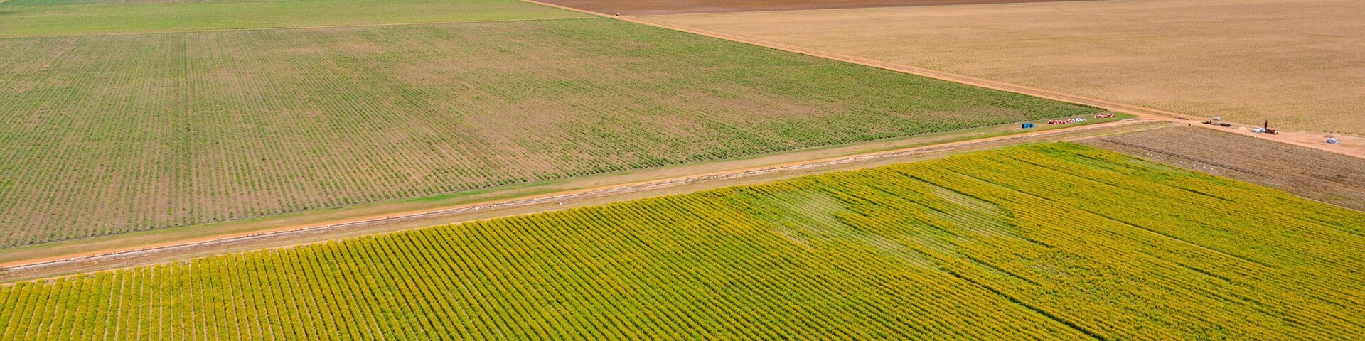 Vista aérea de campos agrícolas com uma estrada de terra e montanhas ao longe.