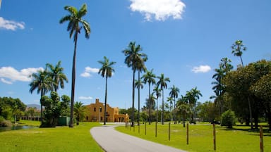 Uma trilha bordeada por palmeiras e um edifício com telhado plano.