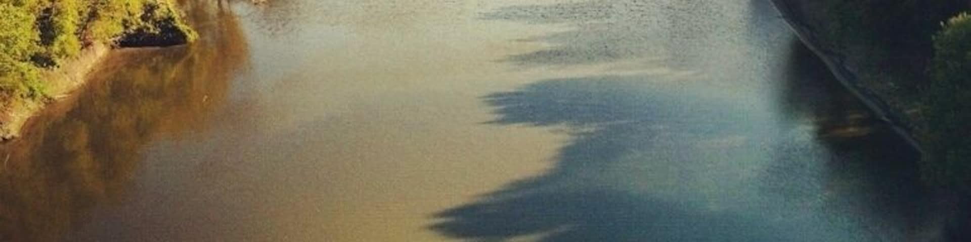 Mississippi River from bicycle path on the Mendota Bridge in St. Paul. September 20, 2012 www.bradleyhanson.com