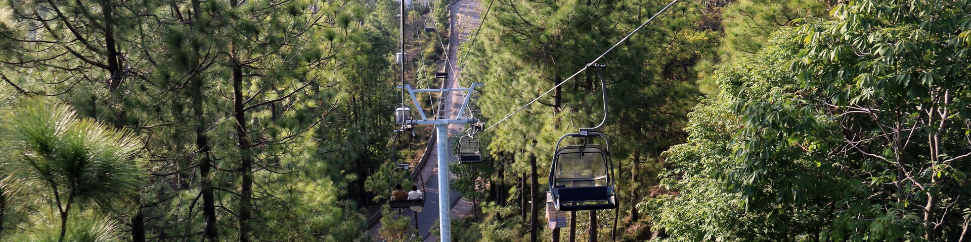 Um sistema de teleférico serpenteando por uma área arborizada com altas pinheiros.