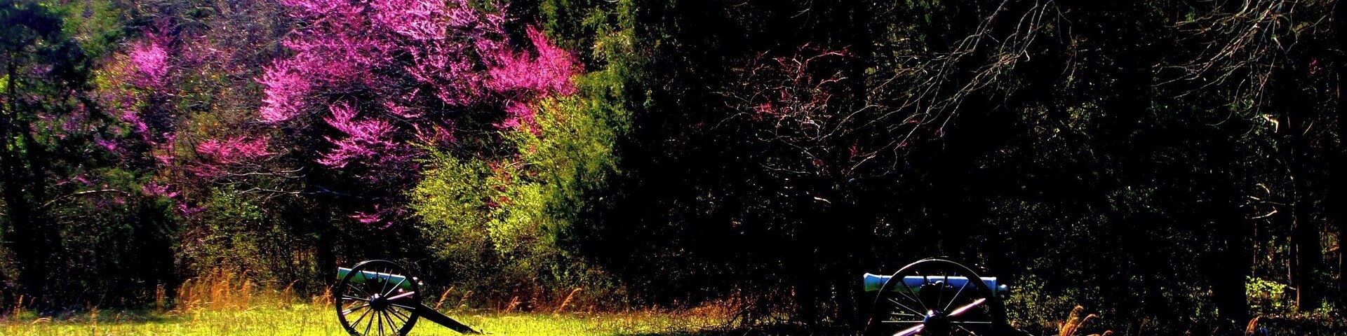 Stones River National Battlefield is such a cool place to visit. The forests are full of rocky alcoves, perfect for providing camo for advancing troops, yet very dangerous to traverse. It's amazing to think that the beautiful, peaceful fields were once the scene of bloody Civil War battles.
https://www.facebook.com/LifeRidingShotgun