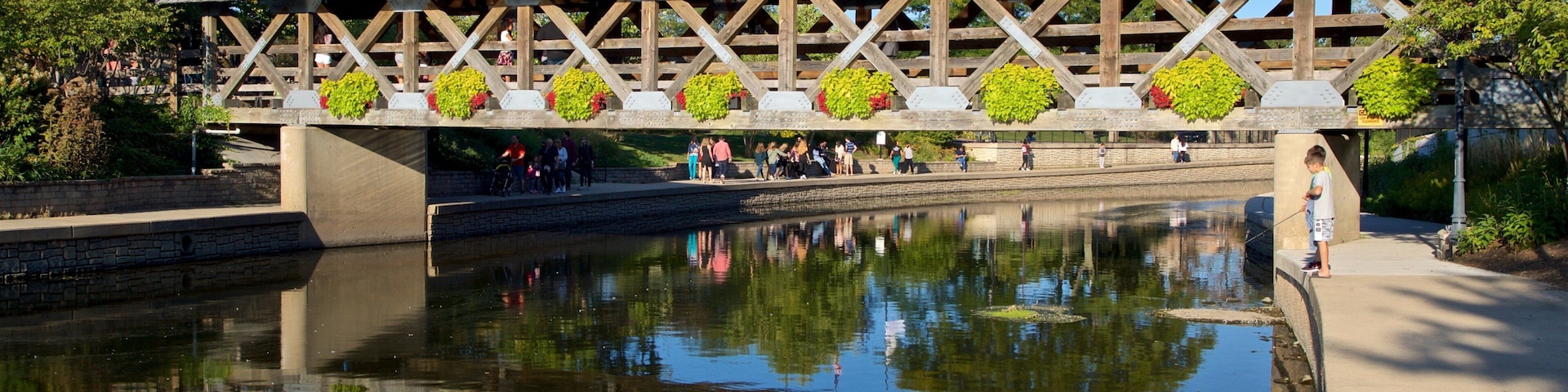 Naperville caracterizando uma ponte e um rio ou córrego
