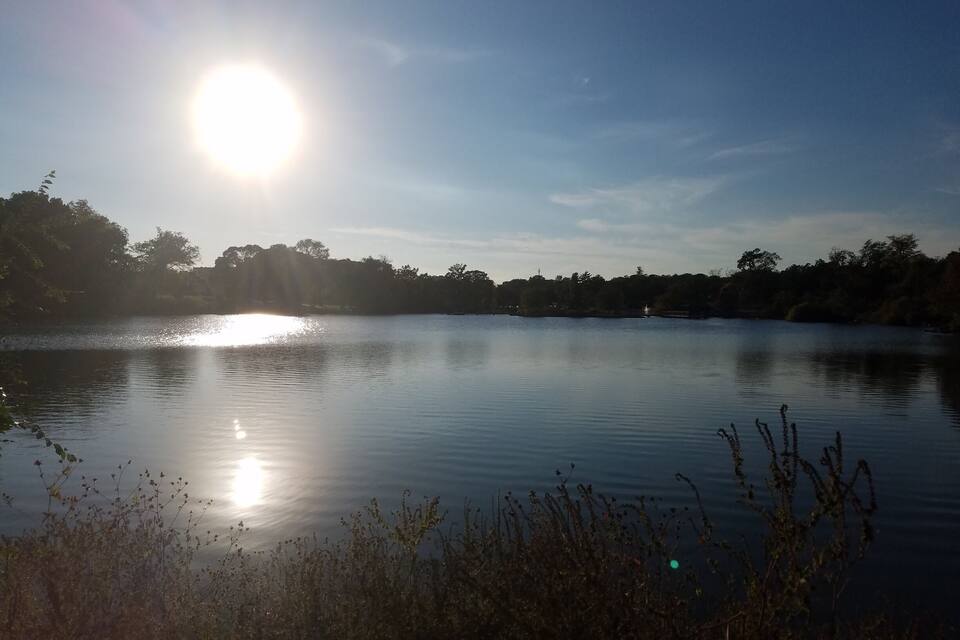 Um lago tranquilo com o sol refletindo na água, rodeado por árvores e vegetação.