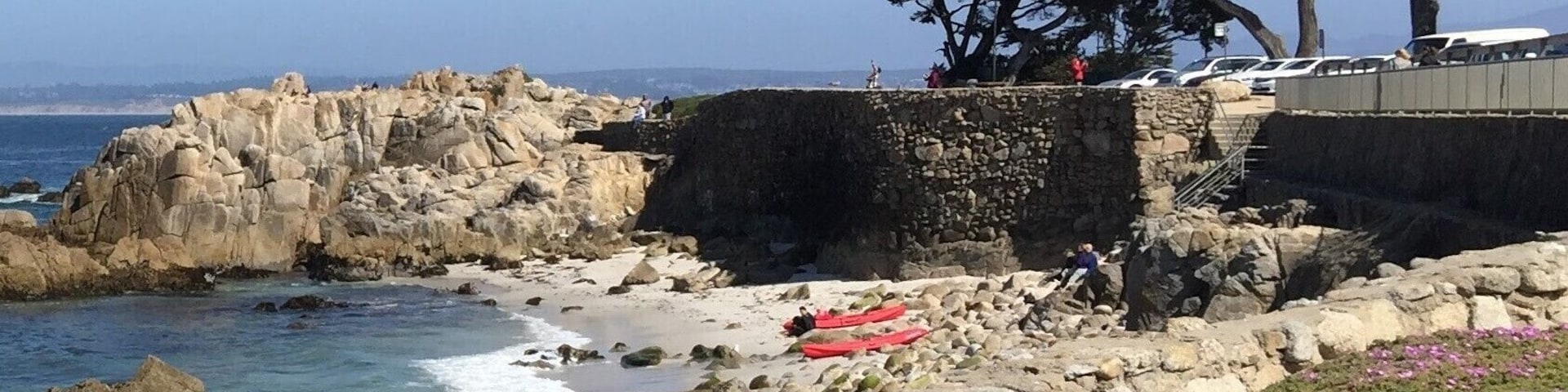 Litoral rochoso com ondas quebrando na costa, um muro de pedra e uma árvore com copa densa.