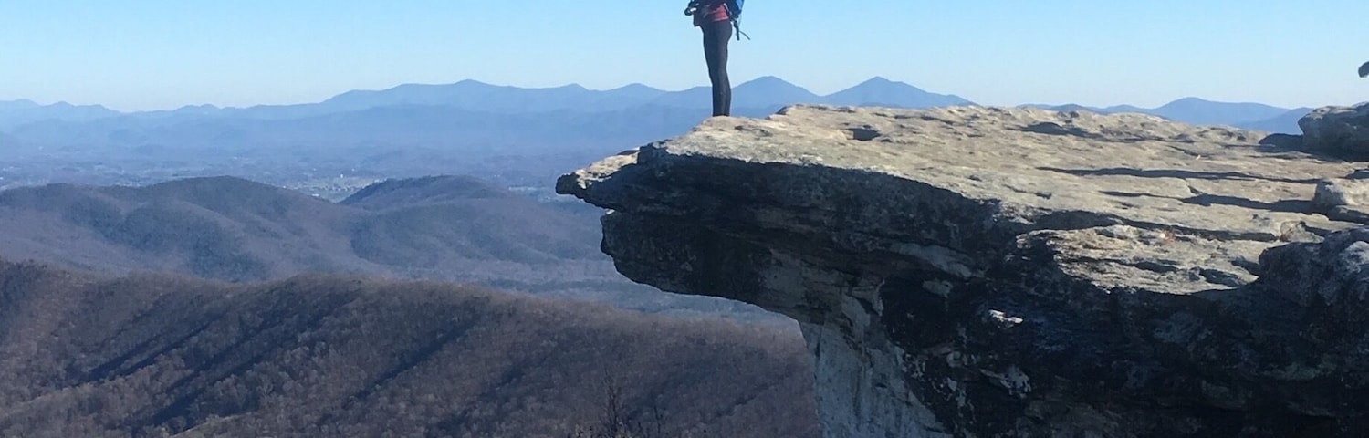 I'm on top of the world! 8 mi hike, for all levels (pace can vary) located on the Appalachian trail. #nofilter