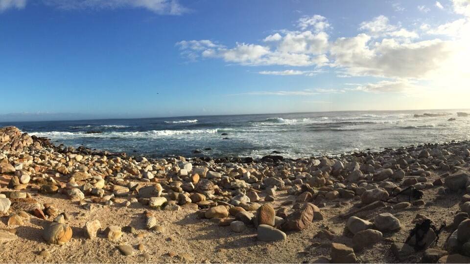 Cape Town , the most beautiful city in the world .. Cape of Good Hope , scenery superb , wildlife even better . A taste of heaven