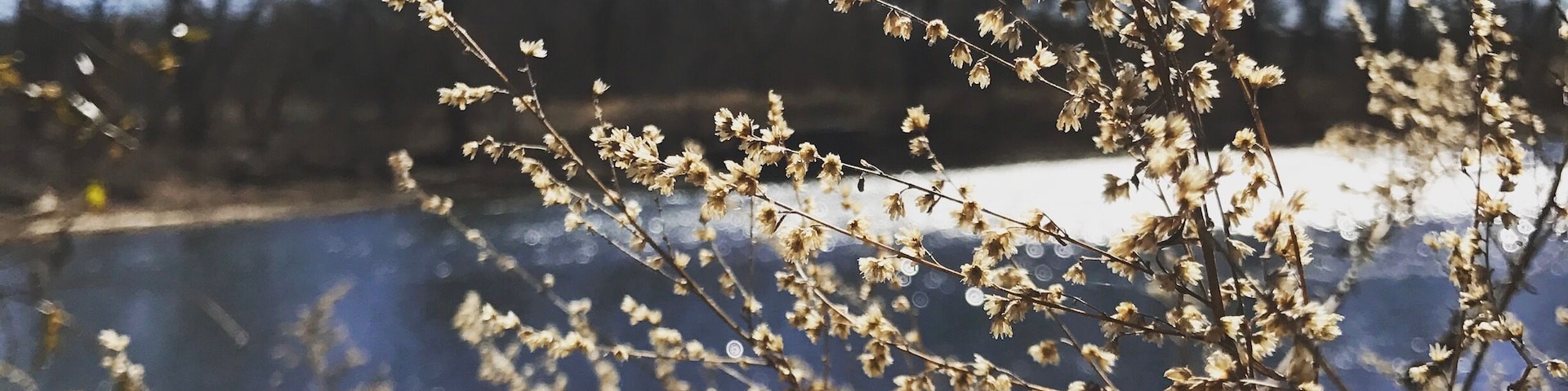 Just another day at duke island!