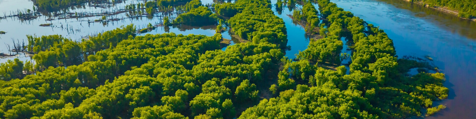 Vista aérea de um rio sinuoso serpenteando por uma floresta densa e verde.