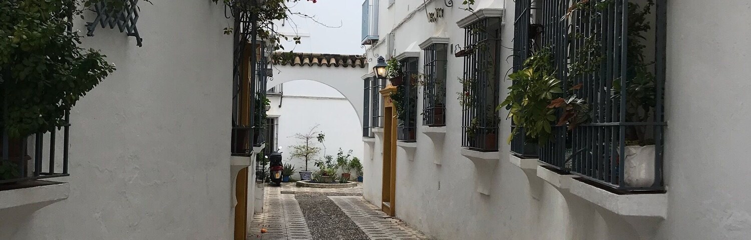Uma passagem estreita com caminho de pedras, edifícios brancos e uma ponte ao longe.