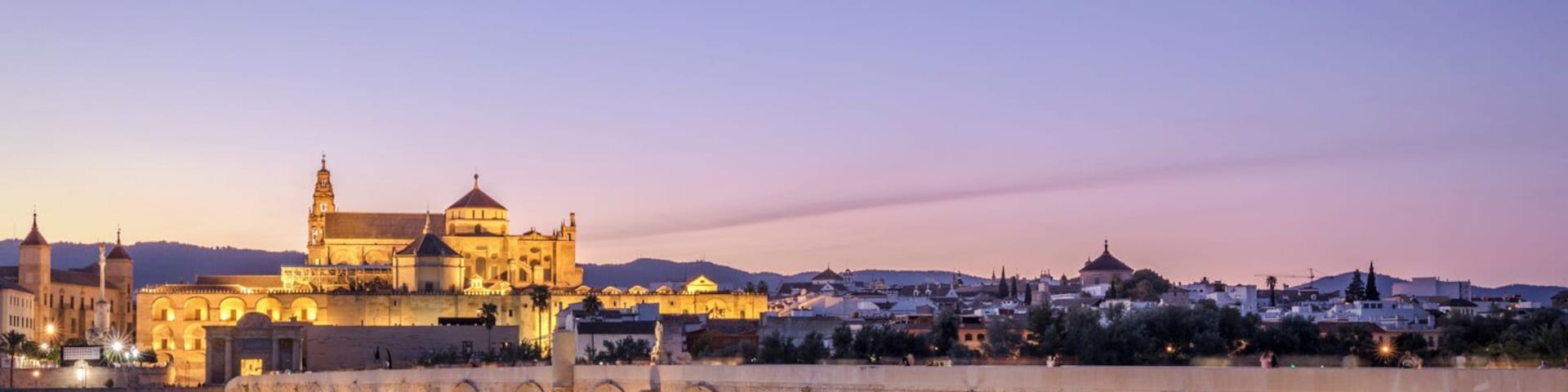 One of my favorite bridge, at sunset. #BvsCities