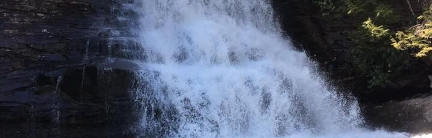 Waterfall at Swallow Falls
