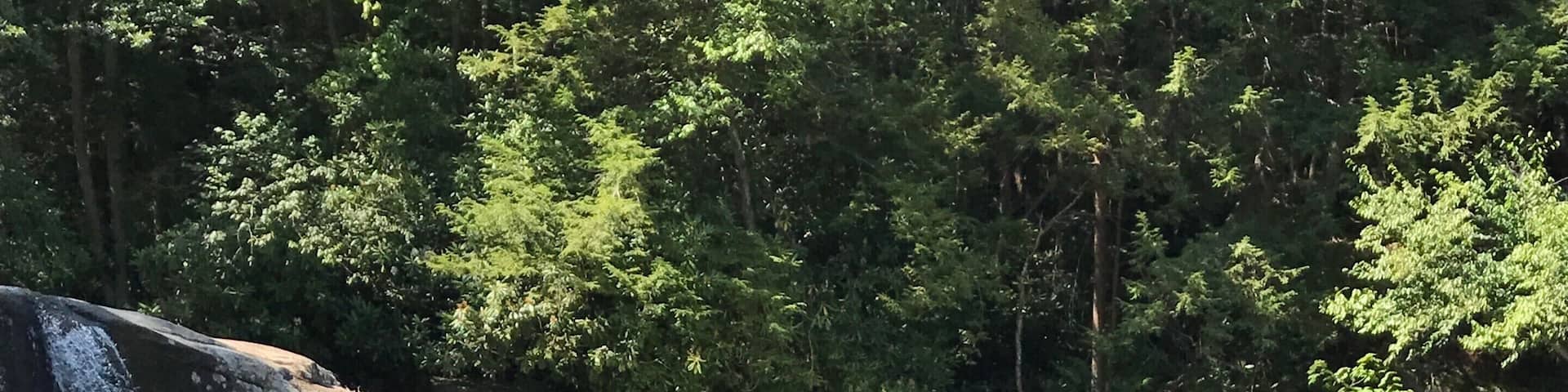 Gorgeous fall day! Lots of people, but there was room to walk