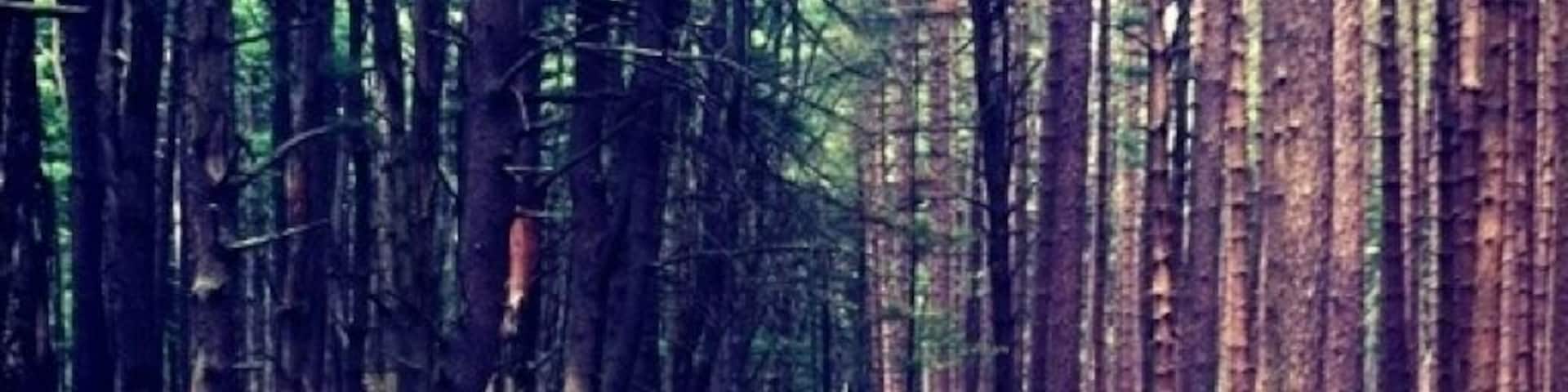 Great hiking trail in Pennsylvania :)