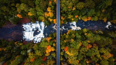Vista aérea de uma floresta com rio, destacando folhagem outonal e uma ponte.