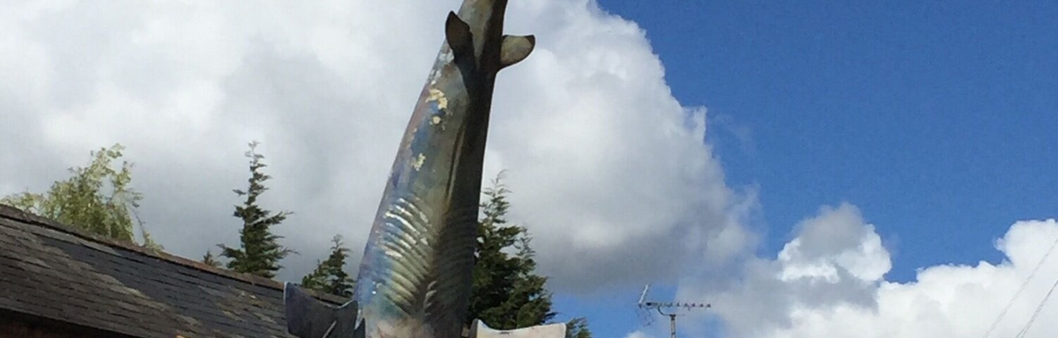 Random find in Oxford, it's not historic but it's fun to go and look at, not sure I would want that sticking out of my roof