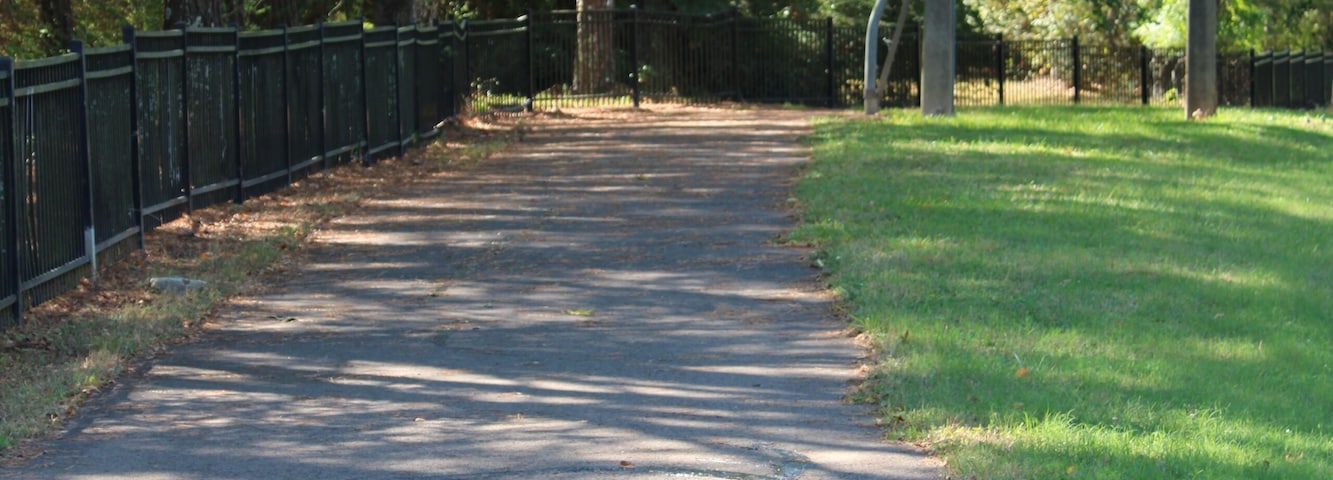 Um caminho pavimentado ladeado por árvores altas e uma cerca de metal.