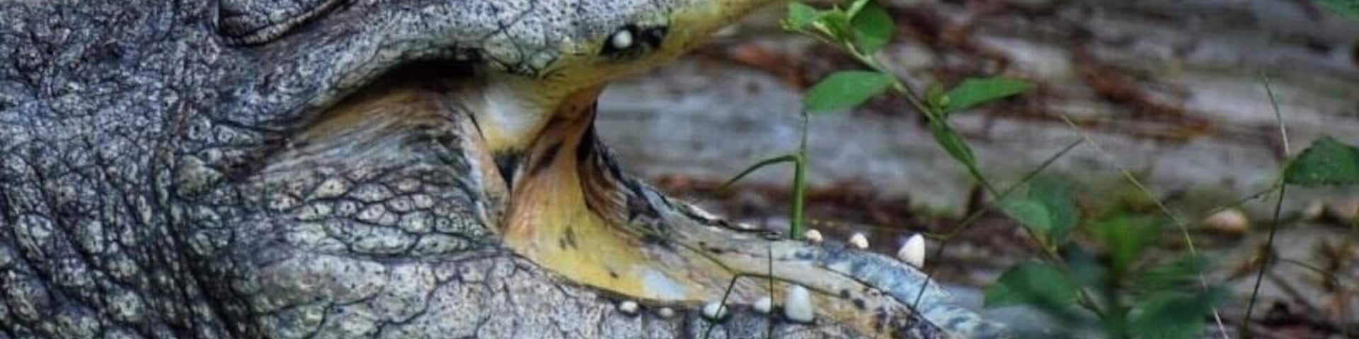 Different activities and nature can be found in this park in the middle of the city #lifeatexpedia #tlotravel #cuernavaca