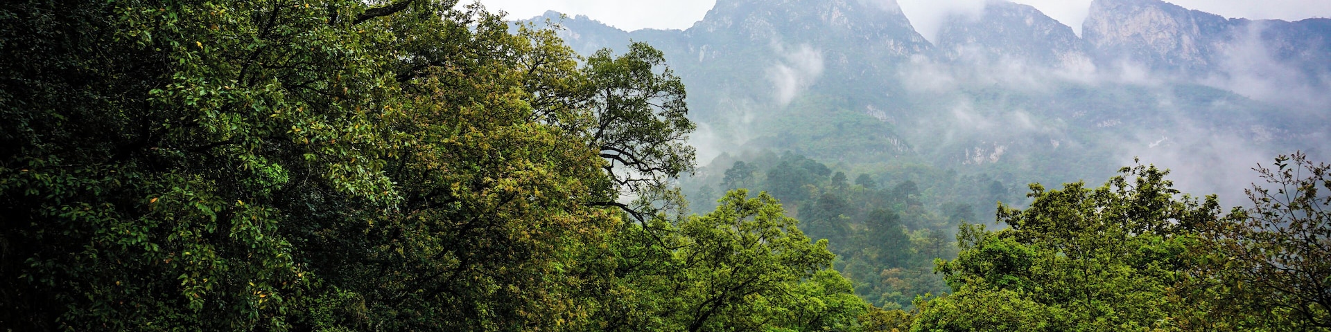 Nearby the concrete full city of Monterrey in northern Mexico there's a great route to discover in the Chipinque mountain. Once you start climbing up the big city lags behind and one can enjoy fresh air as wild animals cross your path #ontheroad.