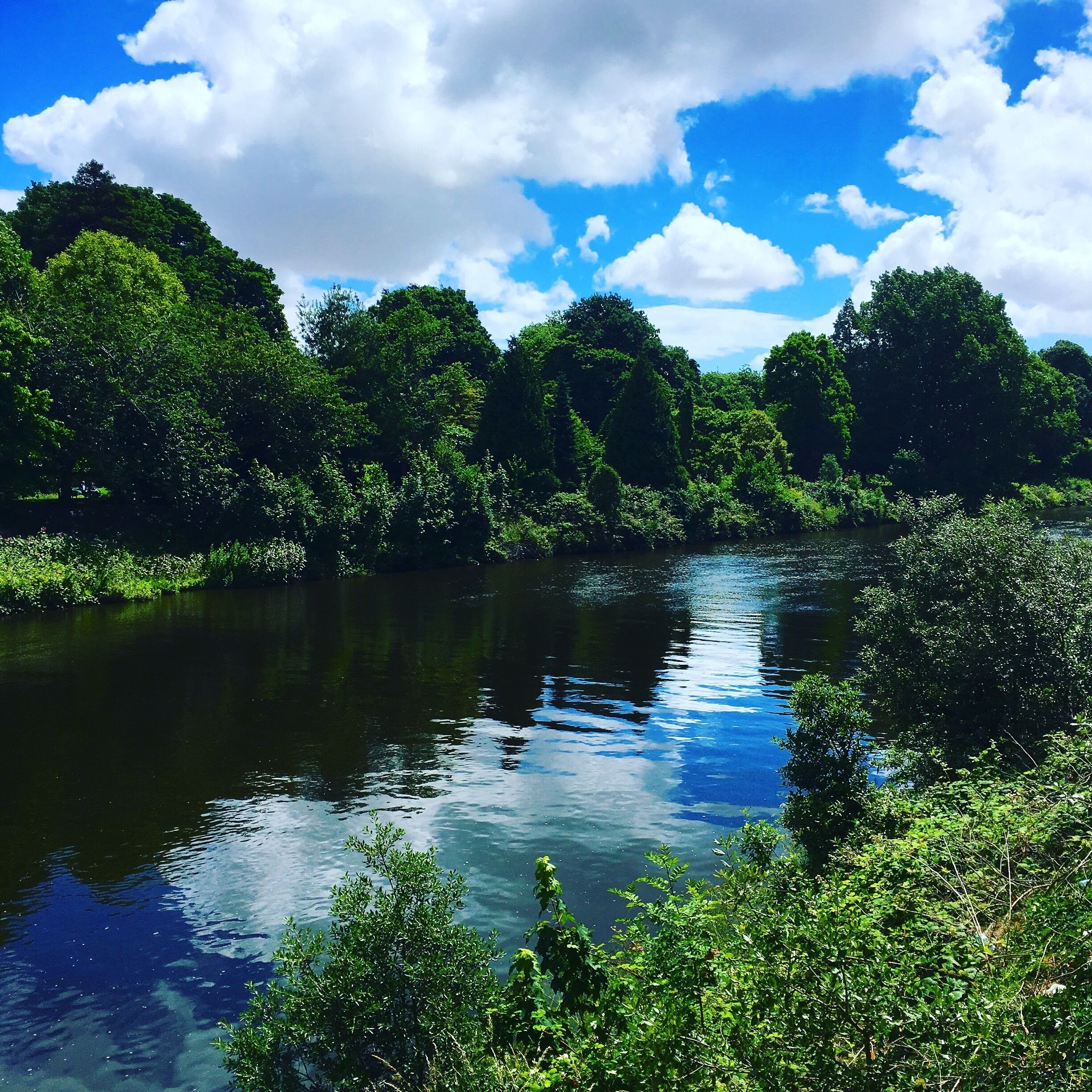 5 minutes of summer
#wales#green