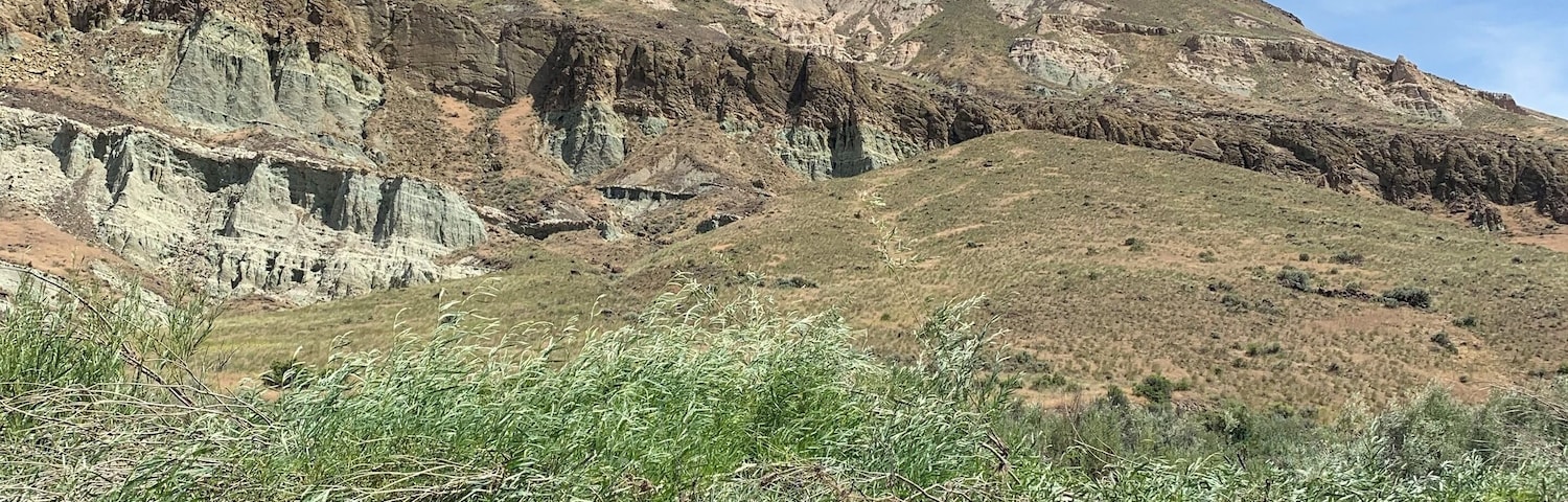 Sheep Rock is across from the Thomas Condon Paleontology Center. Beautiful part of Oregon. The star visibility out here is amazing! Even saw the Milky Way with my bare eyes!
#Nature