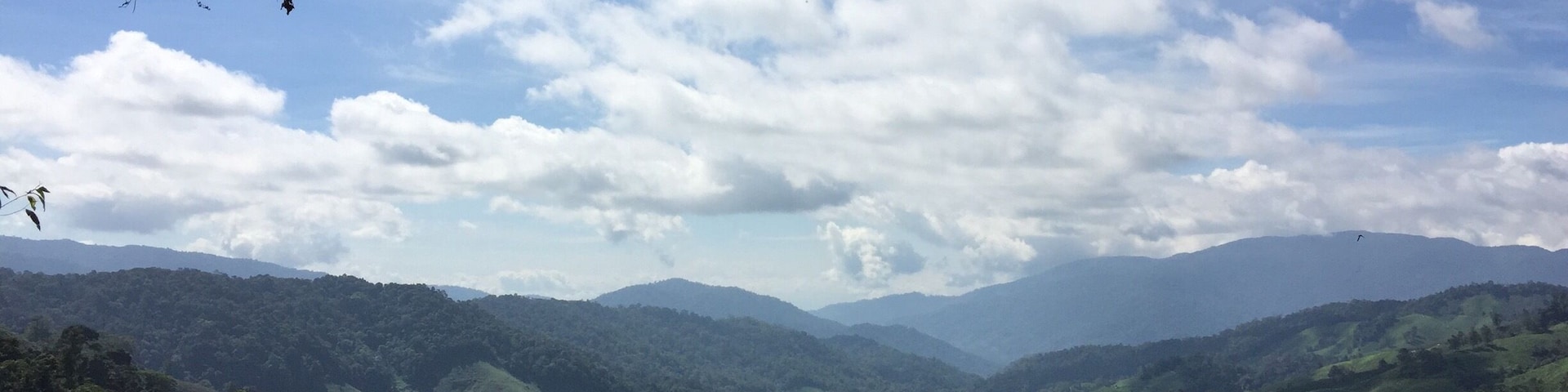 A must go if you are in Cameron Highlands is the tea plantations. The one here, has a look out point where you can see the whole valley. The climb is about less that 10 mins. They also served tea, cakes and scones.