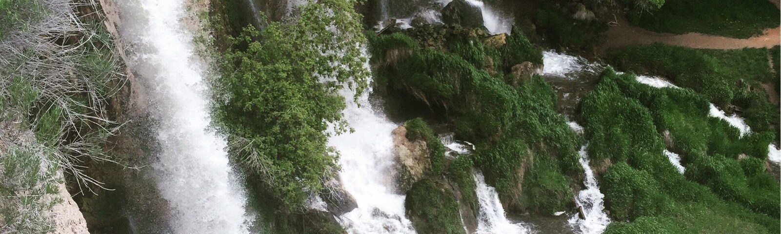 Was surprised by the beauty in Rifle!