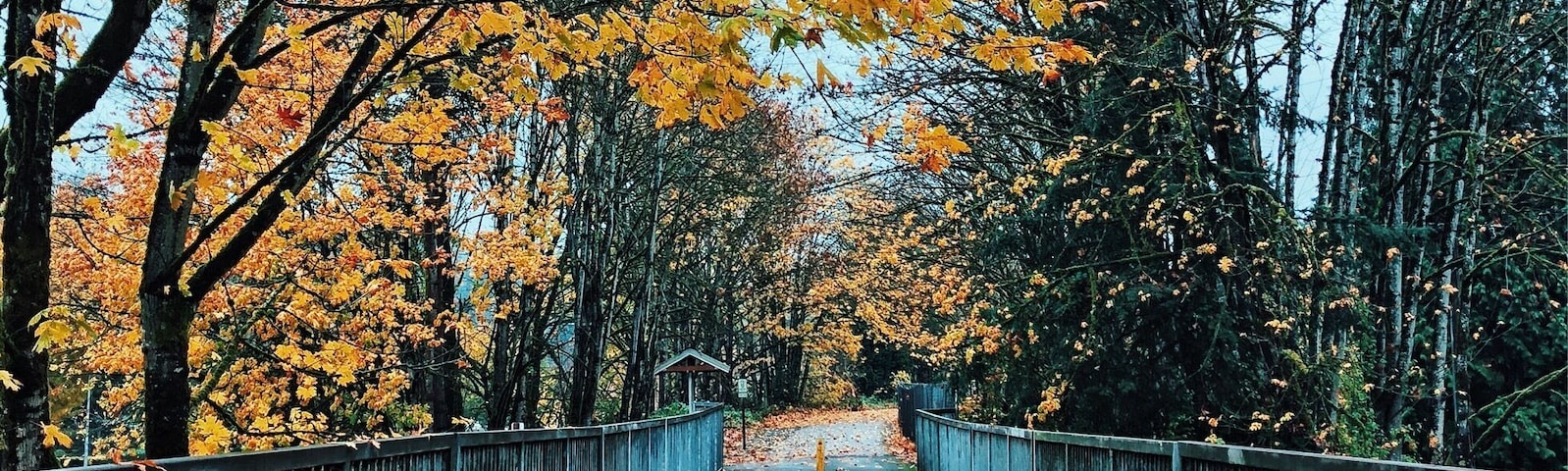 One of my favorite trails for a walk on a fall afternoon.