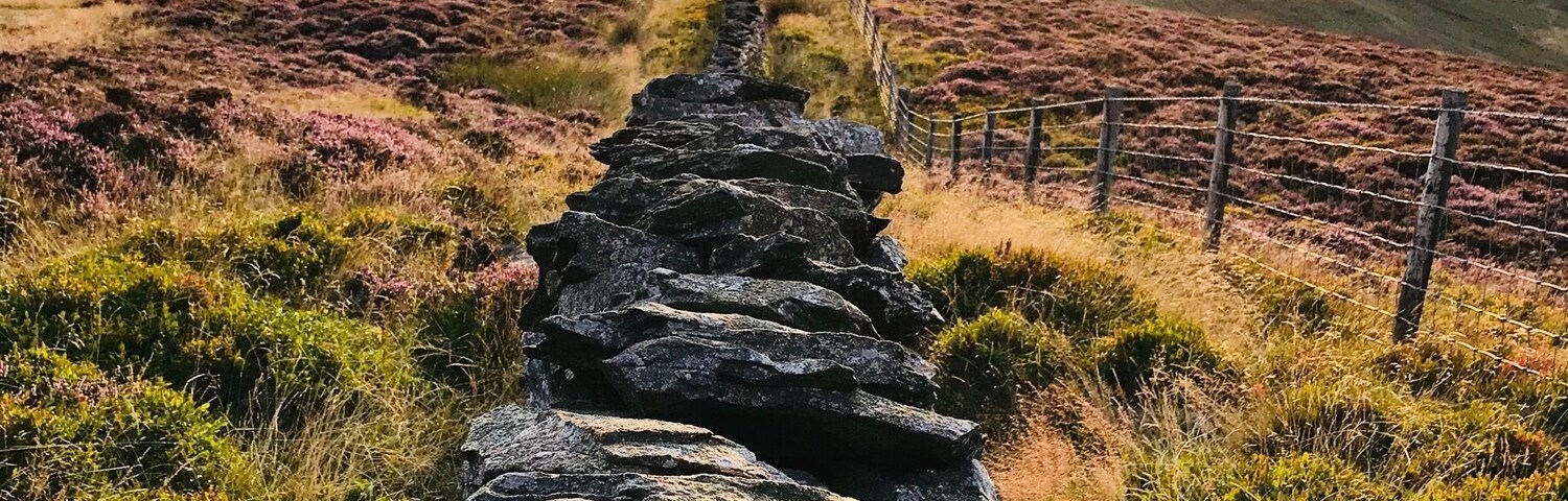 #moelfamau #mountains #outstandingnaturalbeauty #naturalbeauty #outdoors #wall
