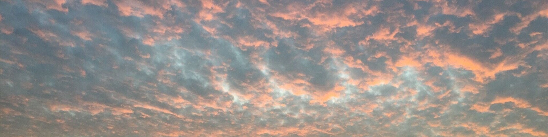 January 2015
Iphone 6