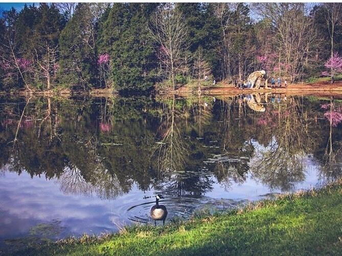Um lago tranquilo refletindo árvores e uma escultura.