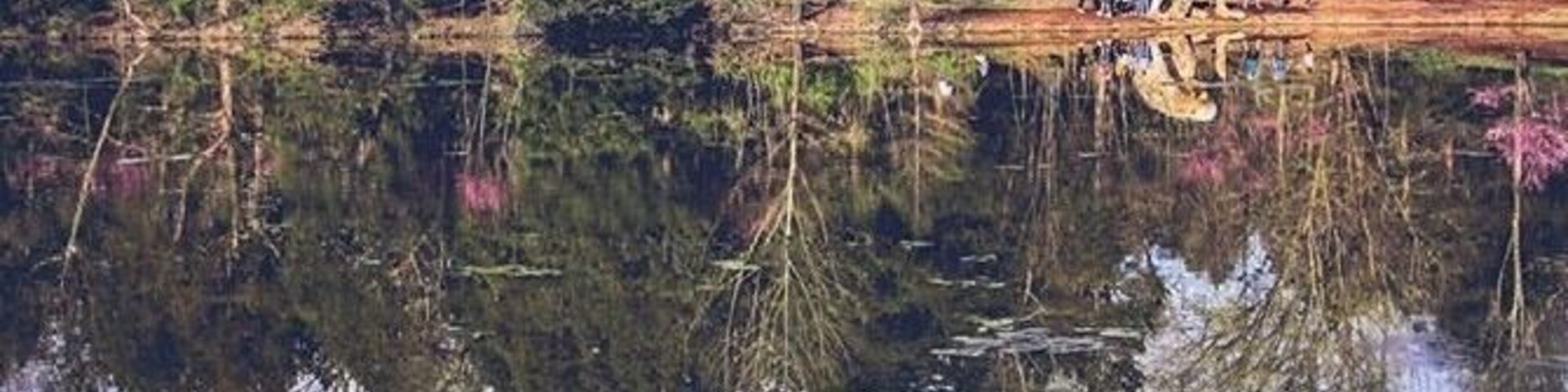 Um lago tranquilo refletindo árvores e uma escultura.