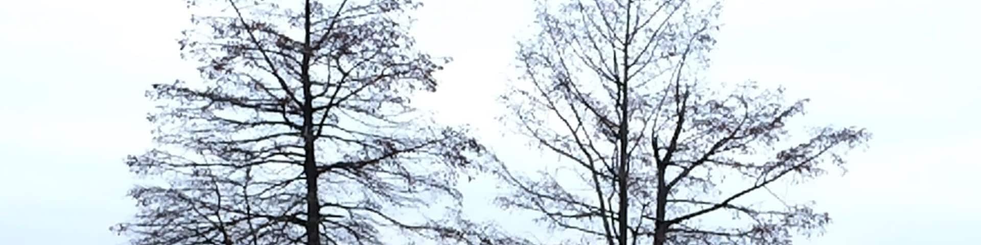 Lake 33 on a cold winter morning.