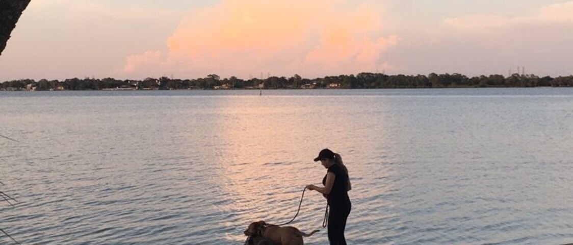Great park for dogs and picnics!!!