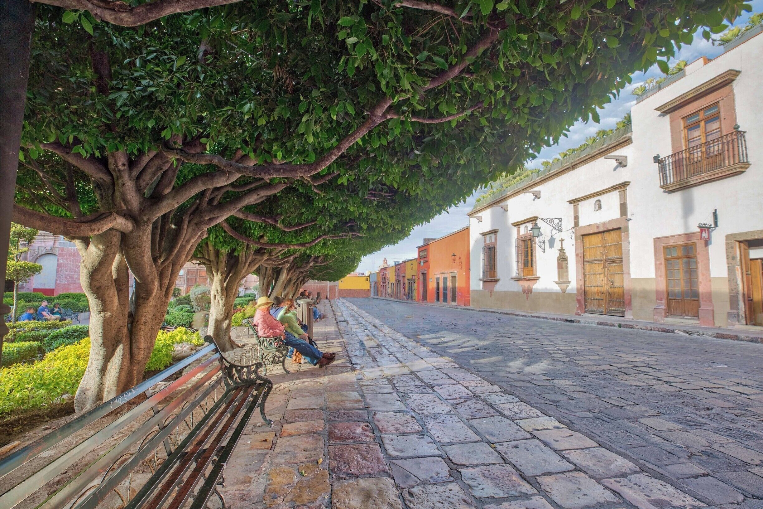 Ruas de paralelepípedos flanqueadas por árvores e edifícios históricos.