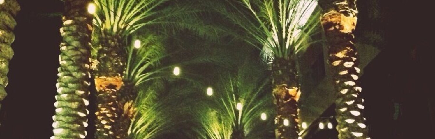 Love the palm trees surrounding this shopping area. Very exotic and elegant.