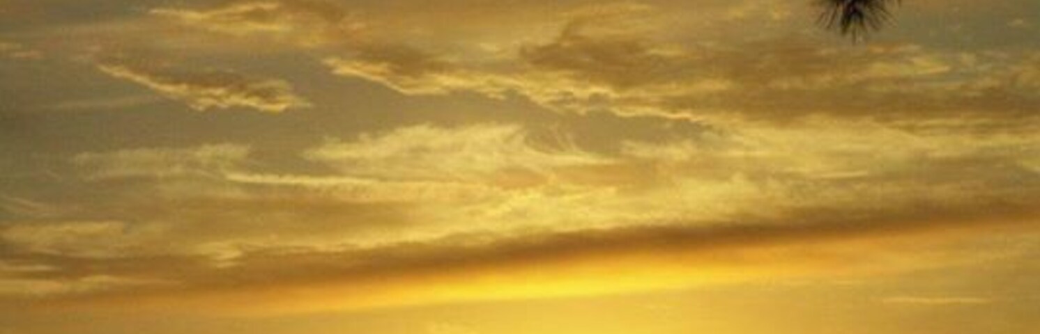 Um pôr do sol sobre a água, com silhuetas de árvores e a silhueta de uma cidade ao longe.