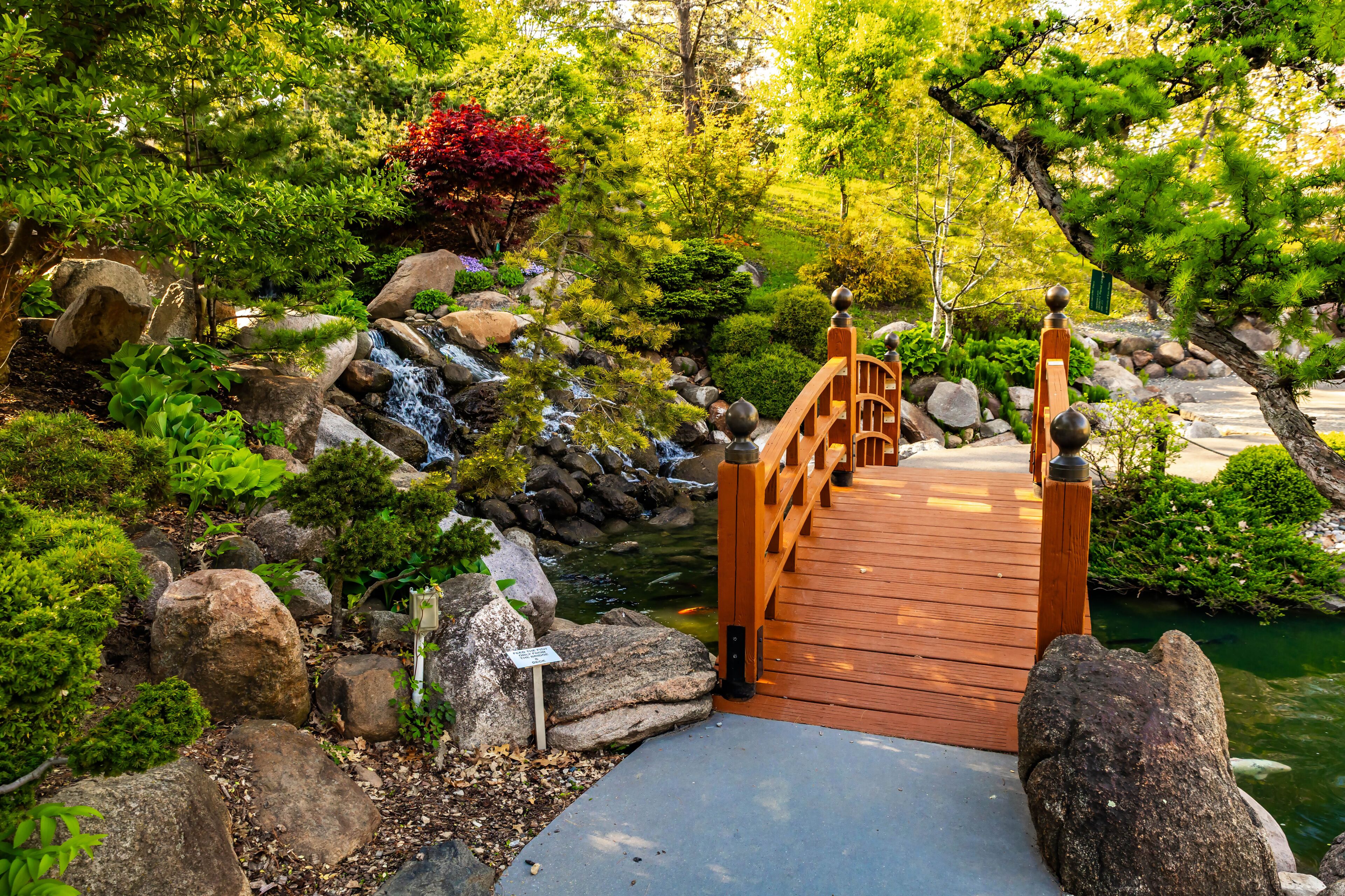 Uma ponte de madeira sobre um riacho em um jardim paisagístico com pedras e diversas plantas.
