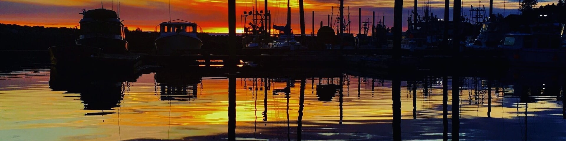 Seldovia, Alaska. Around 12 midinght.
#Aquatrove