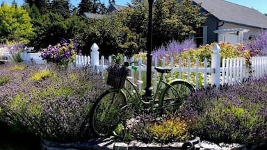 Um jardim com uma bicicleta, cerca branca de piquete e uma casa ao fundo.