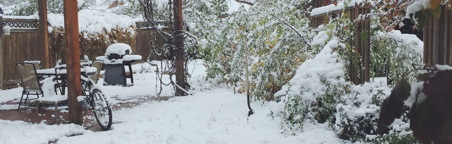 First snow of the season! I'm glad we didn't get as much as they thought we were going to get, but it was nice to enjoy the snow until the sun came out. 🌤☀️❄️ #denver